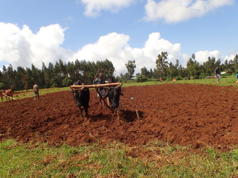 Scaling-up Sustainable land management in Africa – Global Soil Week